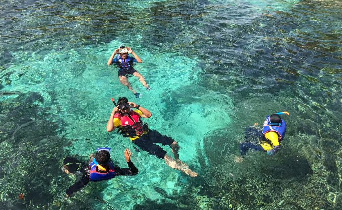 Underwater Exploration: Dive into Marine Discovery & Adventure